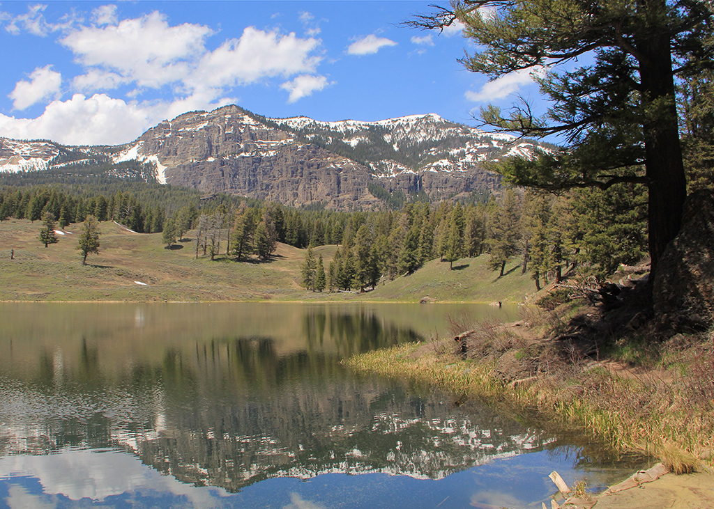 Photos - Ranger Pete